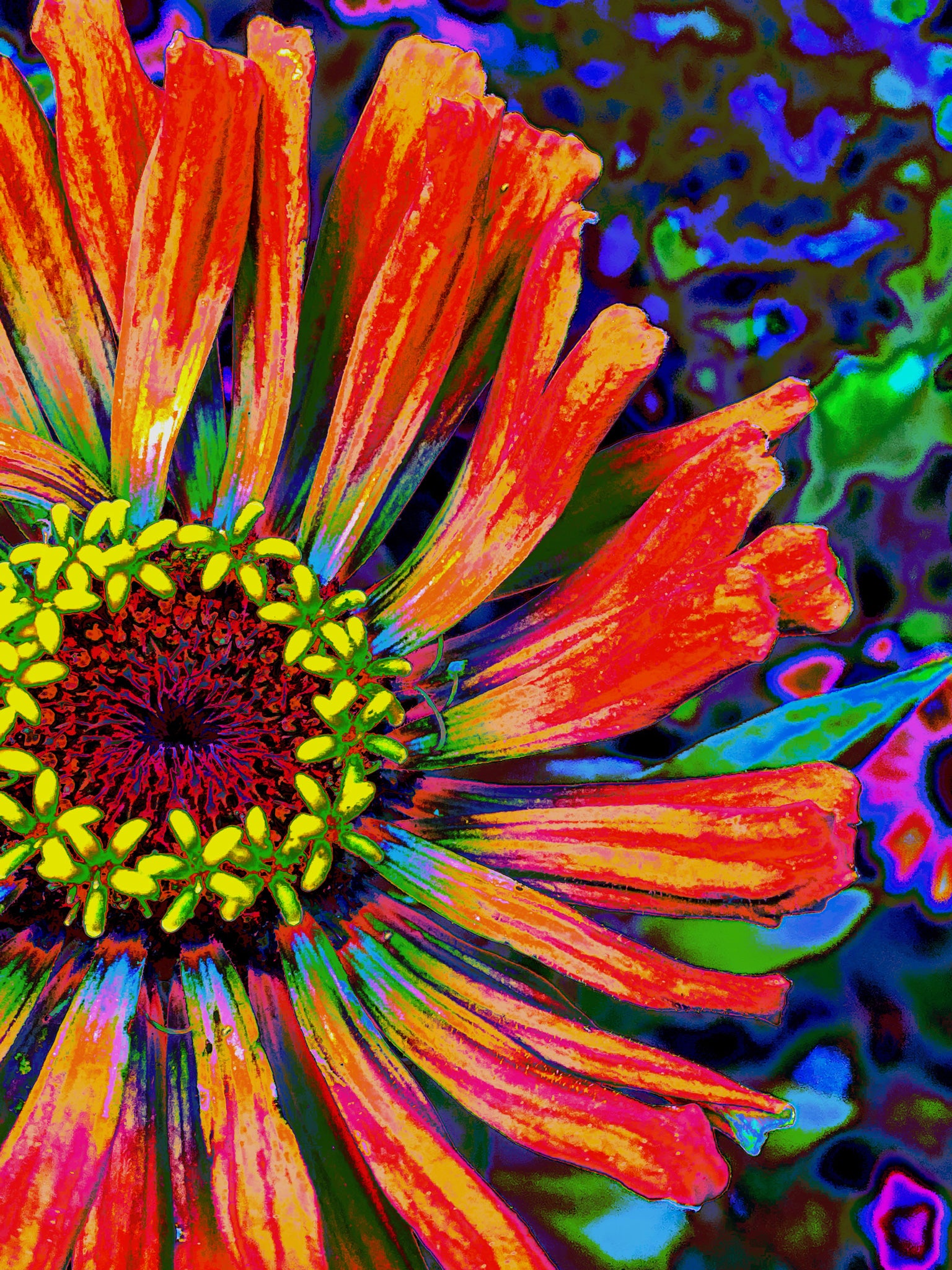 Joyful & Bold – Laura Kingsbury Jones